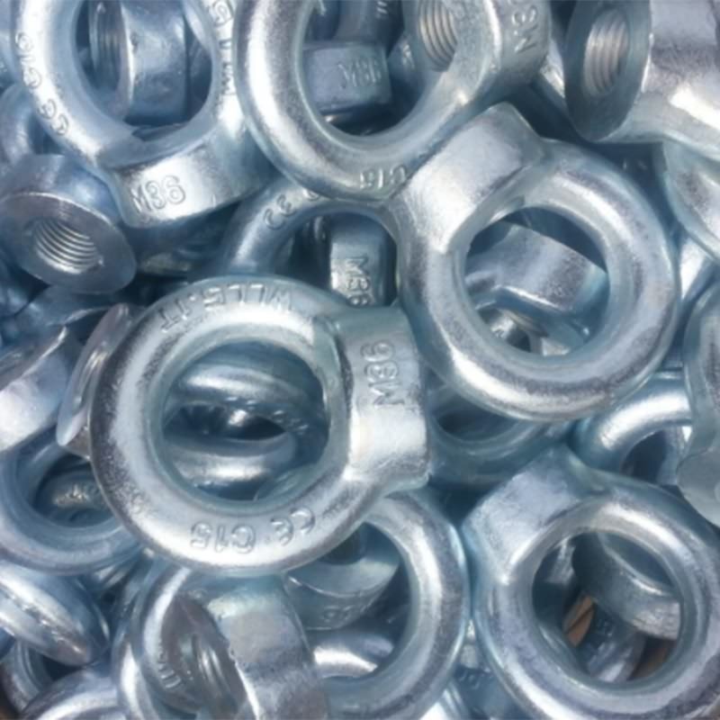 China Europe style for U Shape Bolt - Ring Nut – Sunshow Manufacture ...